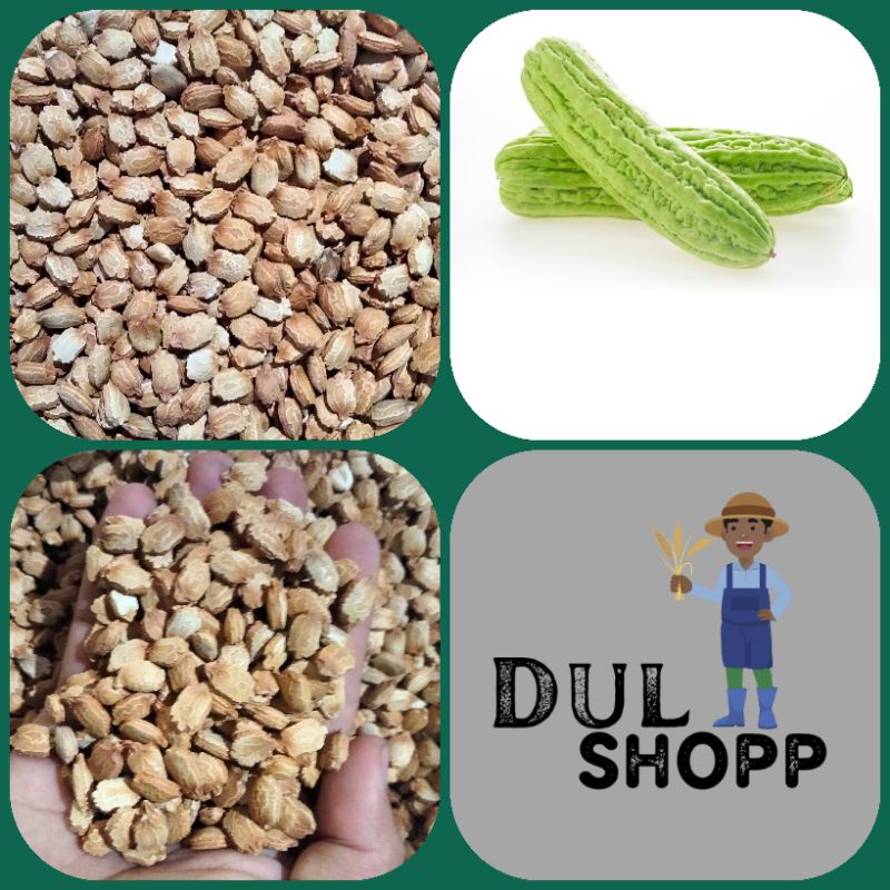 Jual benih pare lokal(100 gram) | Shopee Indonesia