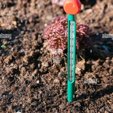 Jual Thermometer tanah termometer kompos Soil thermometer | Shopee ...