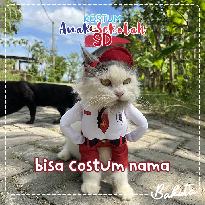 Jual [𝗕𝗜𝗦𝗔 𝗖𝗢𝗦𝗧𝗨𝗠 𝗡𝗔𝗠𝗔] Kostum Anak Sekolah untuk kucing Baju Berdiri ...