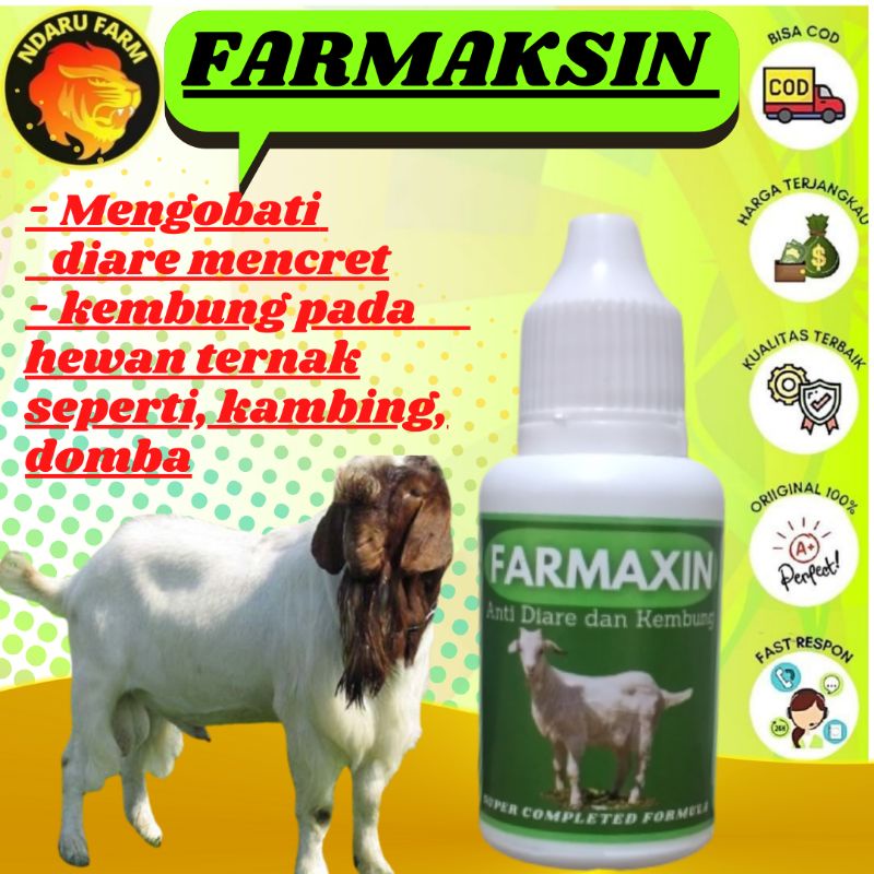 Jual Obat Kembung Mencret Kambing Domba NDARUFRAM | Shopee Indonesia