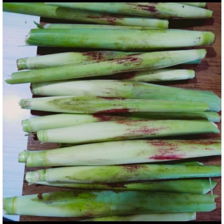 Jual Terbaik sayur terubuk segar/Endog tebu/sayur terubuk/perbuah ...