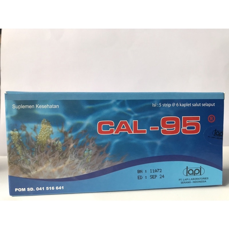Jual Cal 95 kasium 1 box multivitamin kalsium untuk ibu hamil dan ...