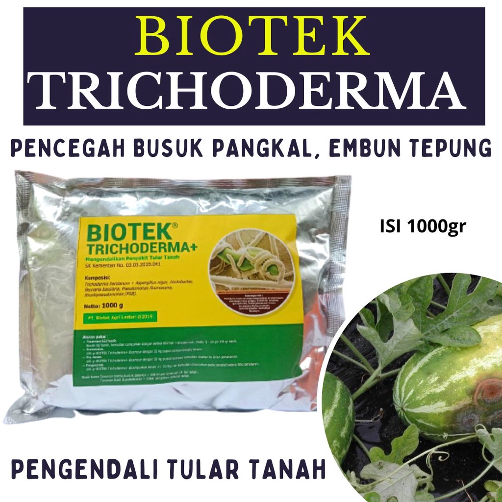 Jual Tricoderma Obat Jamur Akar Putih Pada Cengkeh, Biotek Trichoderma ...