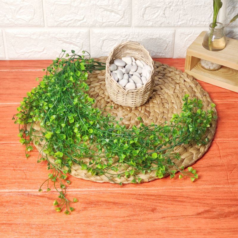 Jual 1 Set Pot Daun Rambat / Tanaman juntai / Pajangan Rak Dinding ...