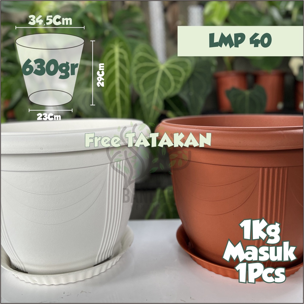 Jual Pot LMP 40 Free Tatakan, pot bunga tanaman hias bagus aesthetic ...