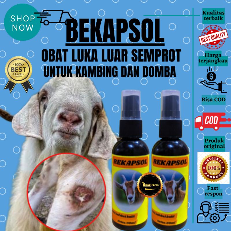 Jual Obat SCABIES Gudik Eksim Gatal Koreng Luka Pada Kambing Domba 50 ...
