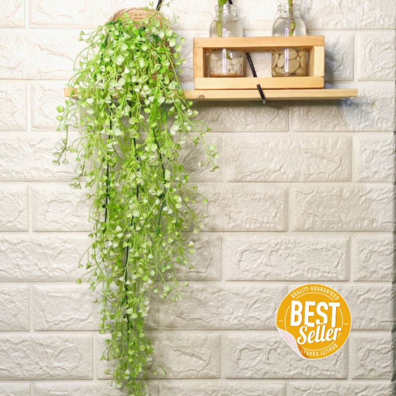 Jual 1 Set Pot Daun Rambat / Tanaman juntai / Pajangan Rak Dinding ...
