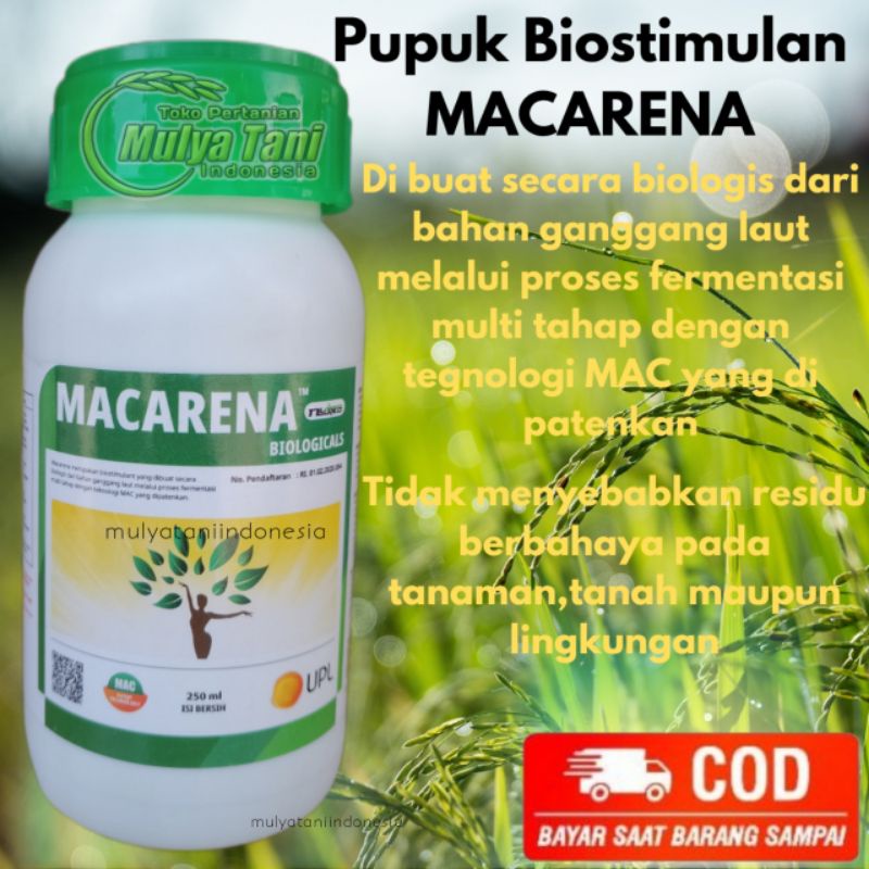 Jual pupuk biologi terbaru upl MACARENA 250 ML | Shopee Indonesia
