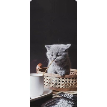 Jual poster cetak jumbo kucing buat hiasan dinding dan dekorasi rumah ...