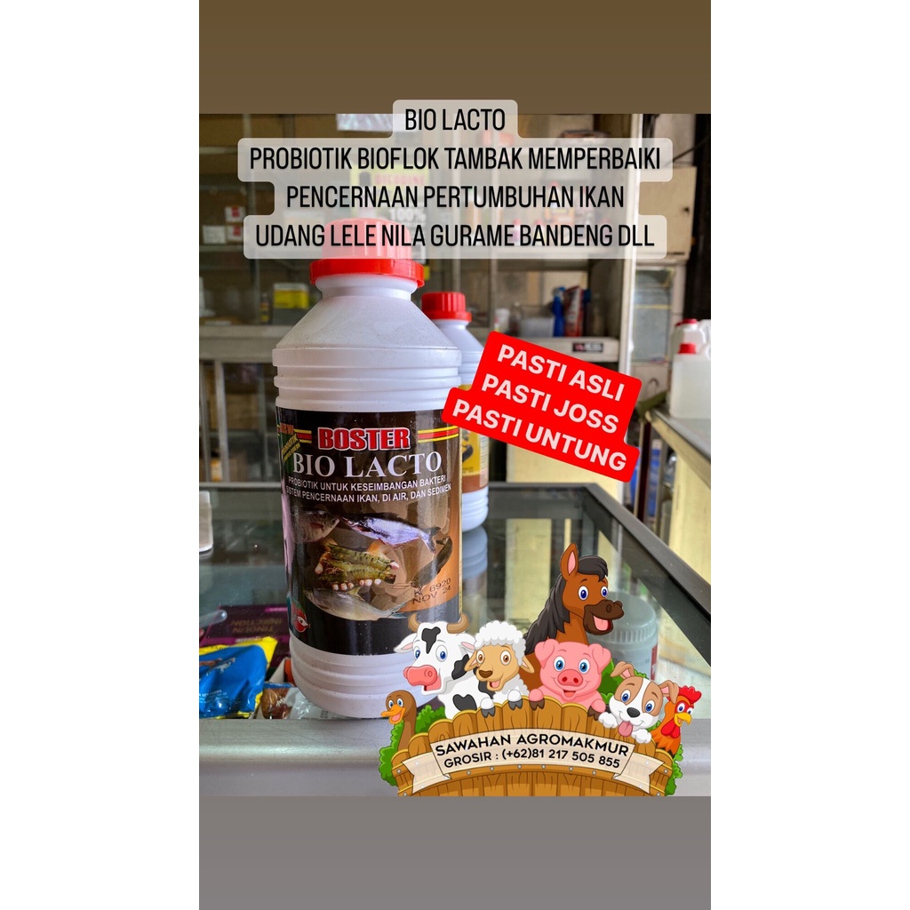 Jual boster biolacto 1 liter bio lacto probiotik kolam bioflok ikan ...
