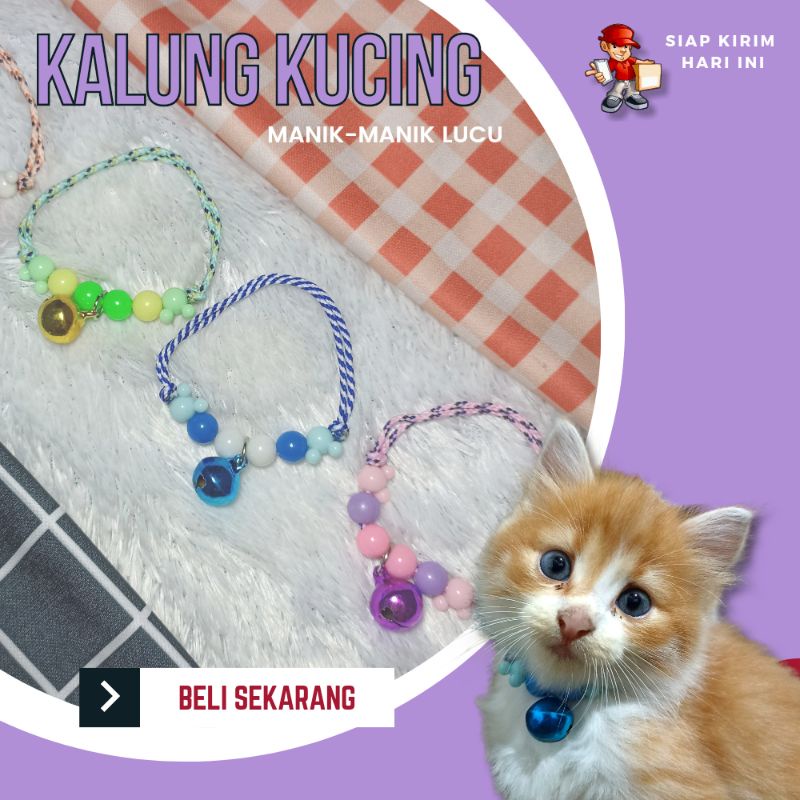 Jual Harga Kalung Kucing Anti Kutu Dari Tali Prusik Kualitas Baik ...