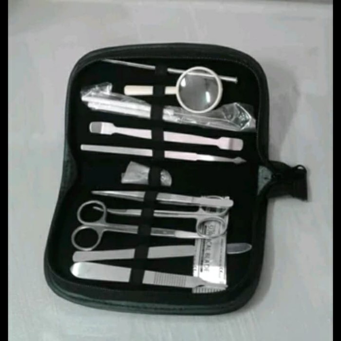 Jual Terapi Alat Bedah Hewan Dissecting Set Disecting Kit | Shopee ...