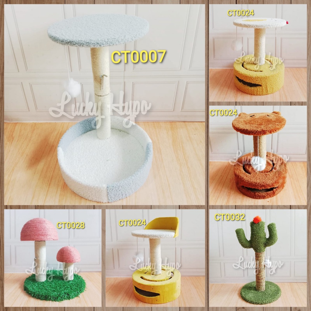 Jual Cakaran Kucing Import Garukan Mainan Kucing Cat Scratcher - Cat ...