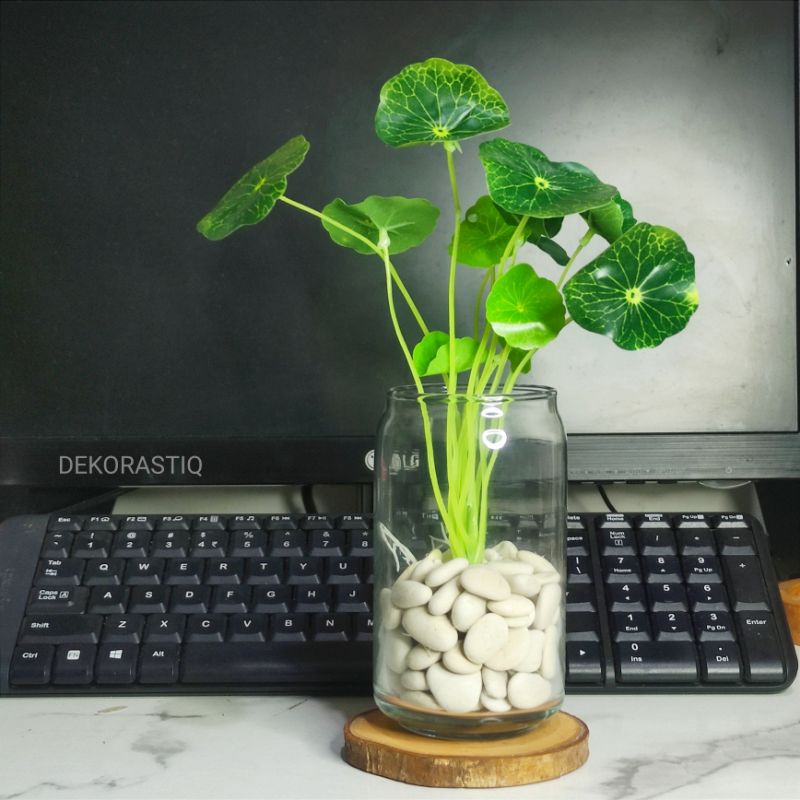 Jual Vas Bunga Kaca Bening Tabung Aesthetic / Pot Kaca Tanaman Air ...