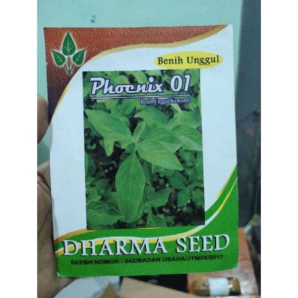 Jual Kemangi Phoenix 10gr Original Pabrik Dharma Seed | Shopee Indonesia