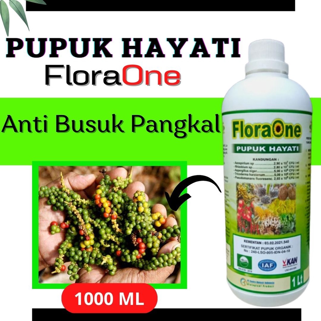 Jual Pupuk Lada Agar Berbuah Besar, Pupuk Hayati Cair Floraone, Obat Busuk Pangkal | Shopee ...
