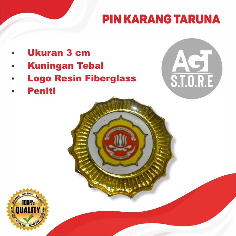 Jual Lencana Pin Karang Taruna - Bingkai Emas Kuningan Tebal | Shopee ...