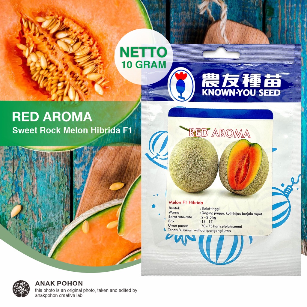 Jual (1 PACK - 10 GRAM) Benih Melon Red Aroma F1 Hibrida Oranye Seeds ...