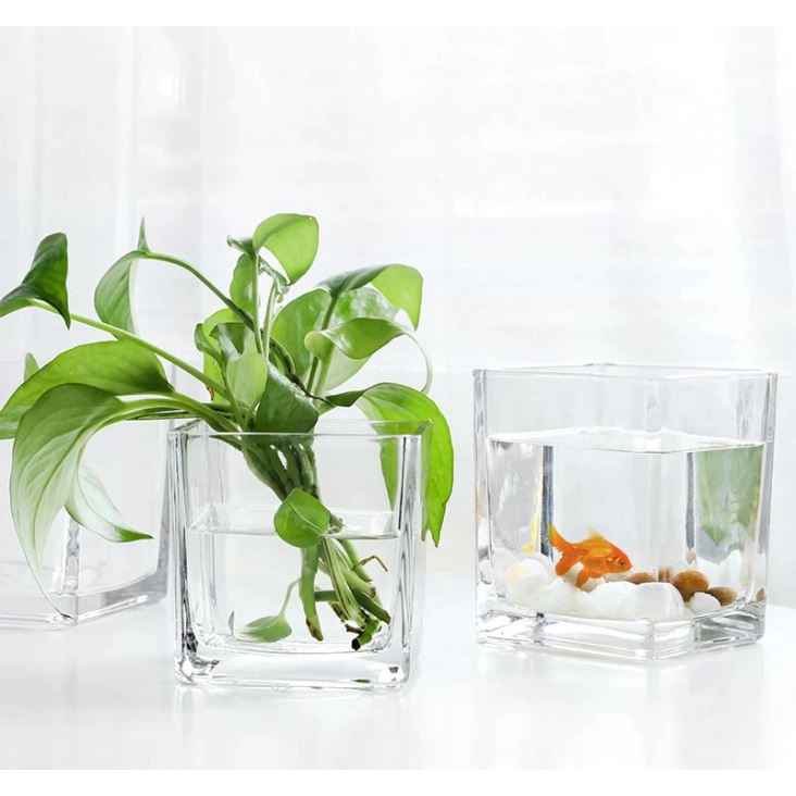 Jual VAS BUNGA KACA BENING KOTAK | VAS TANAMAN AIR | VASE RUSTIC | VAS ...