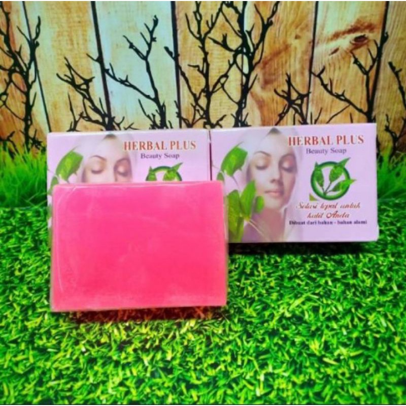 Jual Sabun herbal plus/beauty soap original | Shopee Indonesia