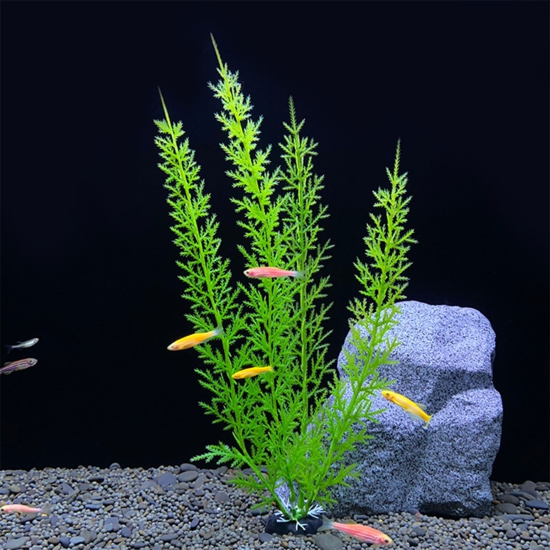 Jual Tak Aquarium Dekorasi Tanaman Artificial Water Plant Rumput Air ...