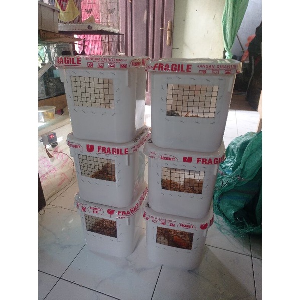 Jual Packing Extra Box ice 8LT , Bulat 5LT, Keranjang Tahan Banting ...