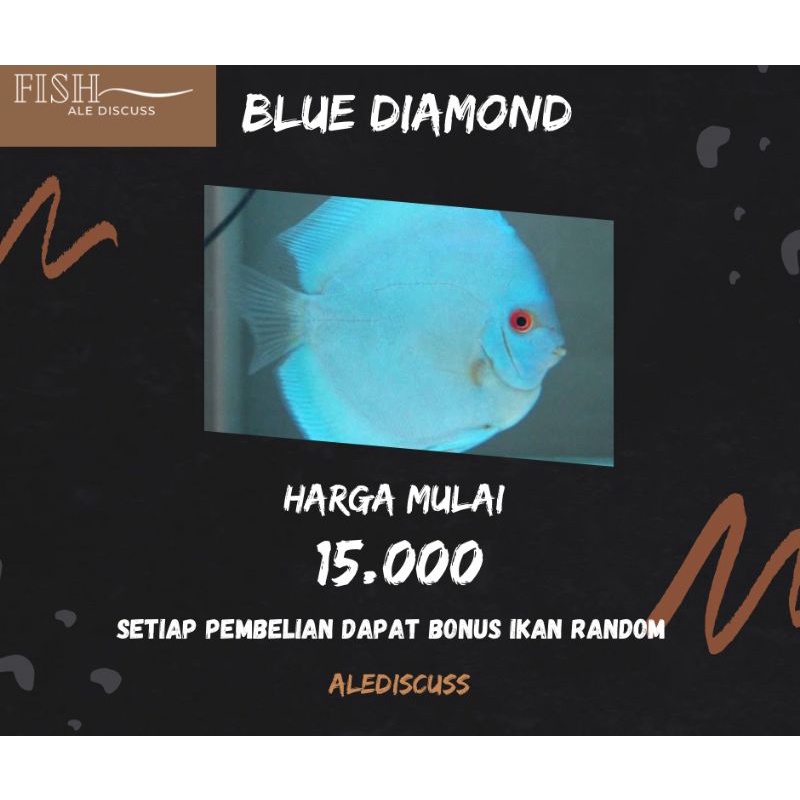Jual packing Styrofoam ikan discus Blue diamond 1,5cm | Shopee Indonesia