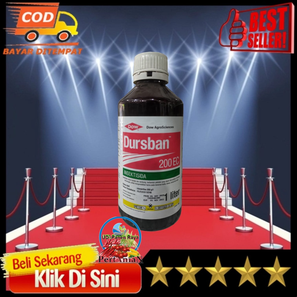 Jual INSEKTISIDA Dursban 250 ml Obat Lalat Buah dan Obat Penghisap Buah ...