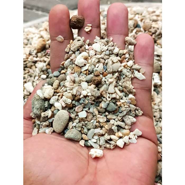 Jual BATU KRIKIL KARANG AQUASCAPE AQUARIUM 1KG | Shopee Indonesia