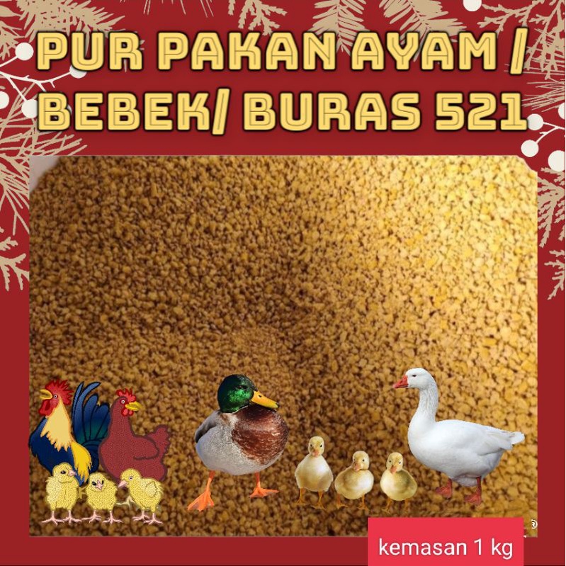 Jual Pur pakan AYAM BEBEK ayam kampung dewasa MURAH | Shopee Indonesia
