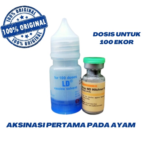 Jual VAKSIN MEDIVAC ND HITCHNER B1 100 DOSIS - vaksin pertama | Shopee ...