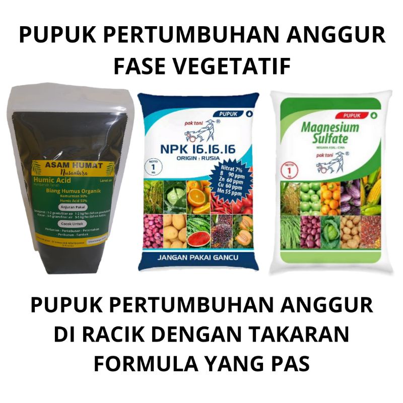 Jual Pupuk Anggur Vegetatif Masa Pertumbuhan Pupuk Anggur Terbaik 1 pcs ...
