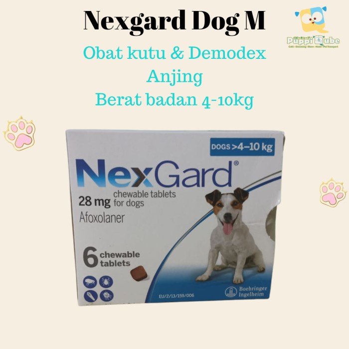 Jual Nexgard Dog M - Chewable Tablet Obat Kutu & Demodex Anjing 4-10kg | Shopee Indonesia