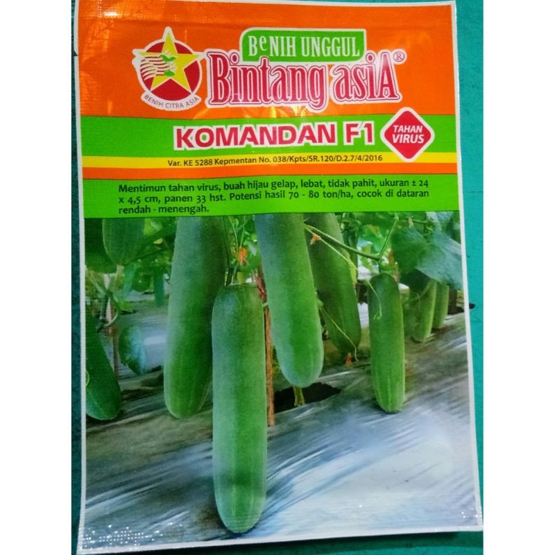 Jual Benih Mentimun Timun Komandan F1 20Gram - Cap Bintang Asia ...