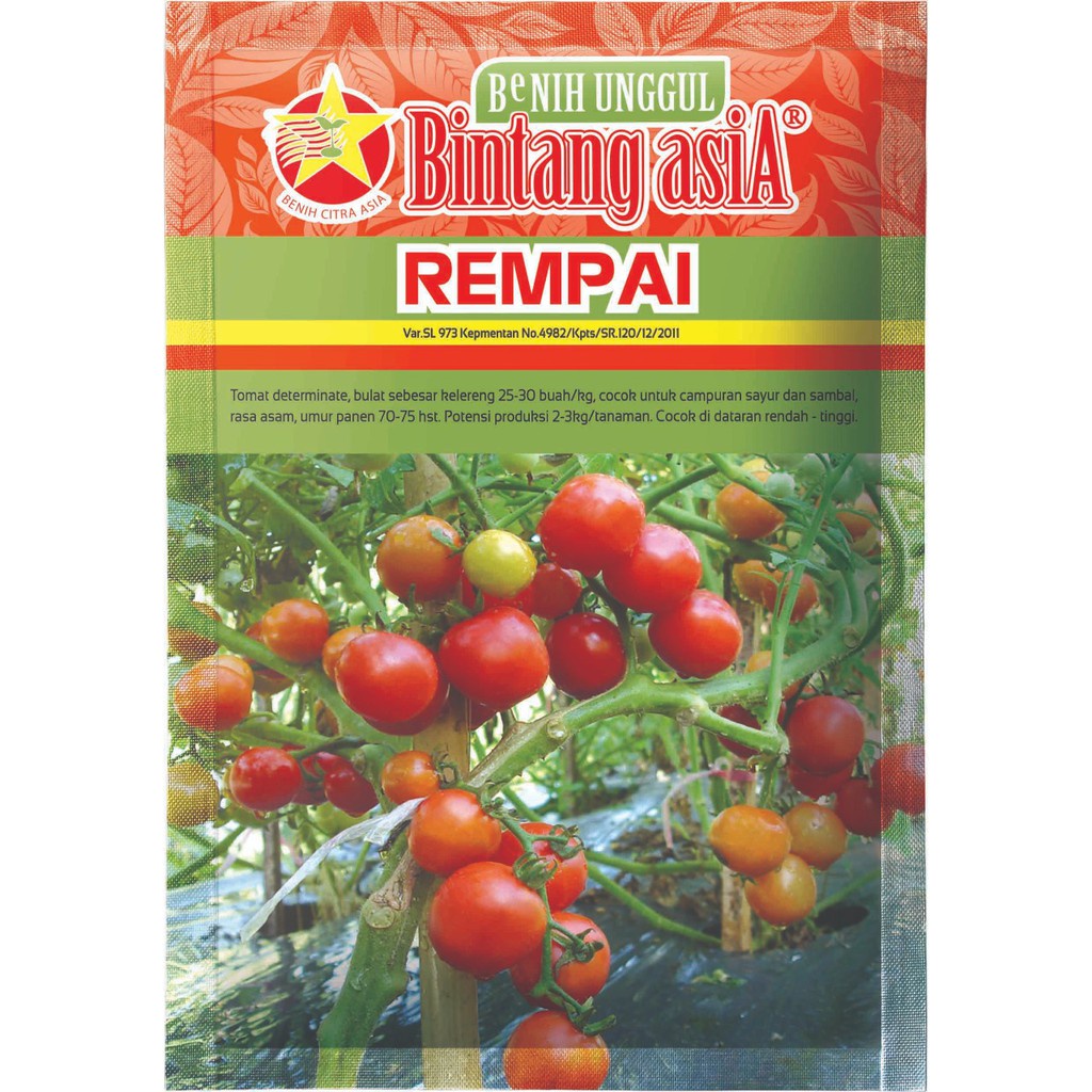 Jual Benih Tomat REMPAI 10 Gram Cap Bintang Asia PT Benih Citra Asia ...