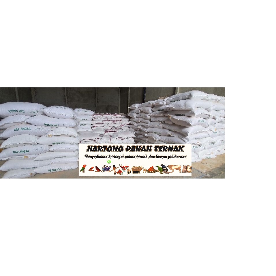 Jual Polar POLLARD Gandum cap ANGSA repack 1 kg POLAR GANDUM CAP ANGSA ...