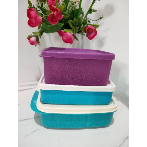 Jual PL preloved Tupperware kotak bekal anak | toples Tupperware | box ...
