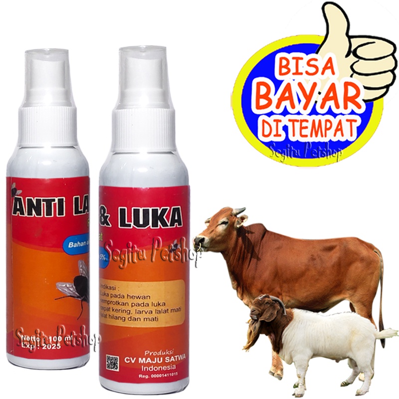 Jual OBAT KORENG SAPI KAMBING INFEKSI GUDIX JAMUR ANTI LALAT LUKA ...