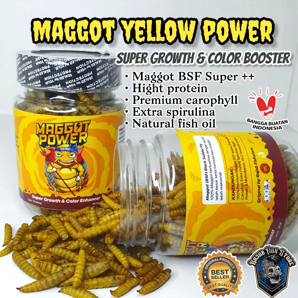 Jual Maggot yellow pakan channa & predator kualitas premium 30gram ...