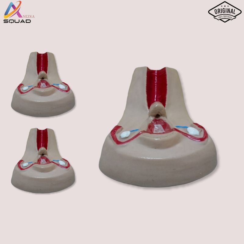 Jual PHANTOM / MANEKIN / MANIKIN UTERUS / IUD | Shopee Indonesia