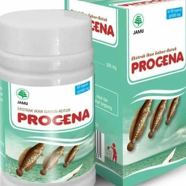 Jual Procena ikan Gubus|Obat Herbal Buat Kesehatan|herbal Murah ...