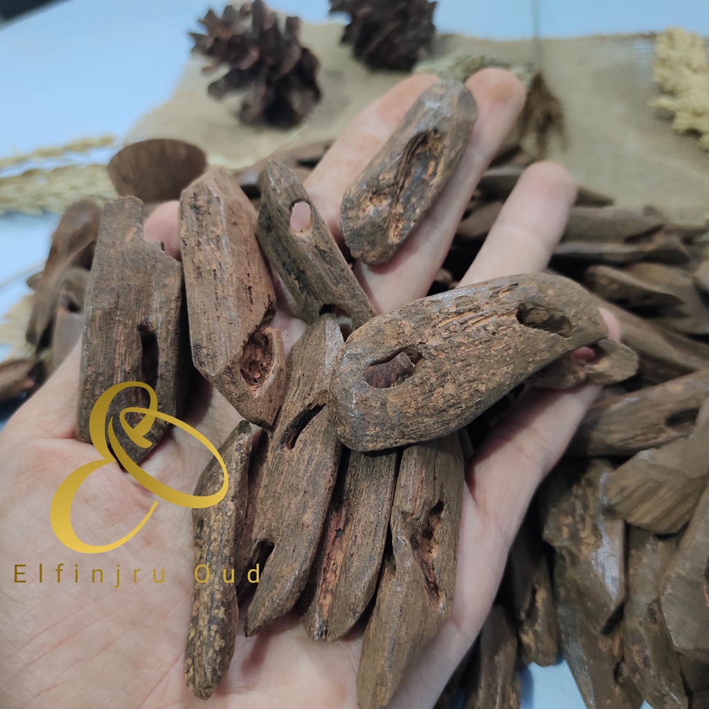 Jual KAYU GAHARU SANAI SARANG SEMUT SUMATRA OUD AGARWOOD ORIGINAL ...