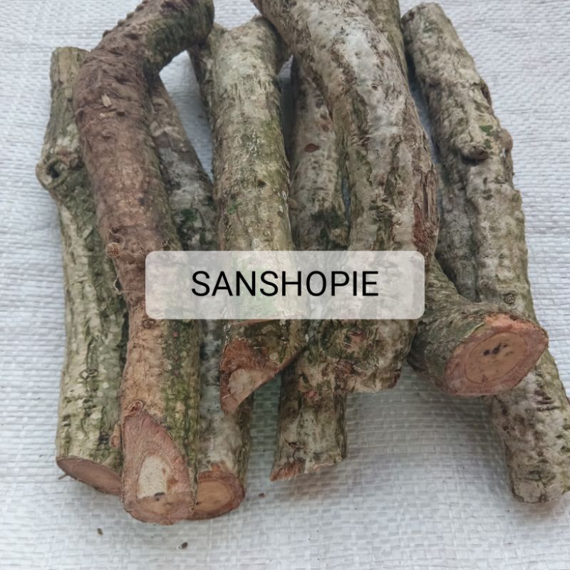 Jual Akar Pohon Kayu Waru Segar 1 kg | Shopee Indonesia