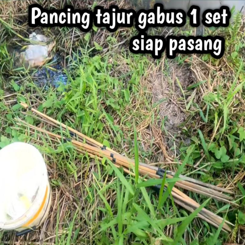 Jual Pancing tajur 1 set siap pasang / pancing tajur ikan gabus ...