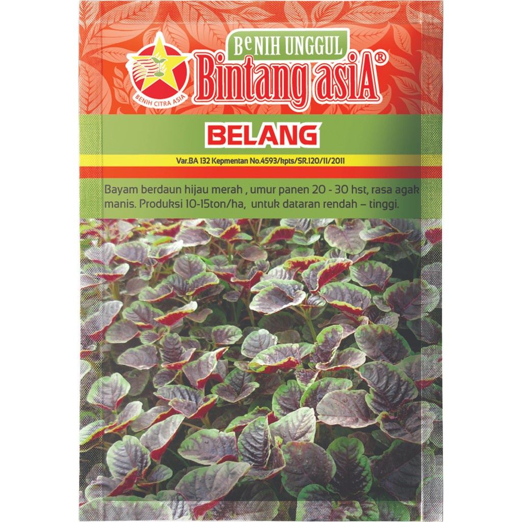Jual Benih Bayam BELANG 50 Gram Cap Bintang Asia PT Benih Citra Asia ...