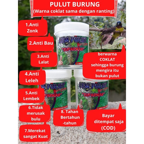 Jual lem pulut getah bendo untuk mikat burung dan tupai untuk segala ...