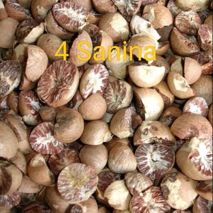 Jual PINANG KERING MEDAN 1/2 KG & 1 KG / PINANG BULAT KERING. | Shopee ...