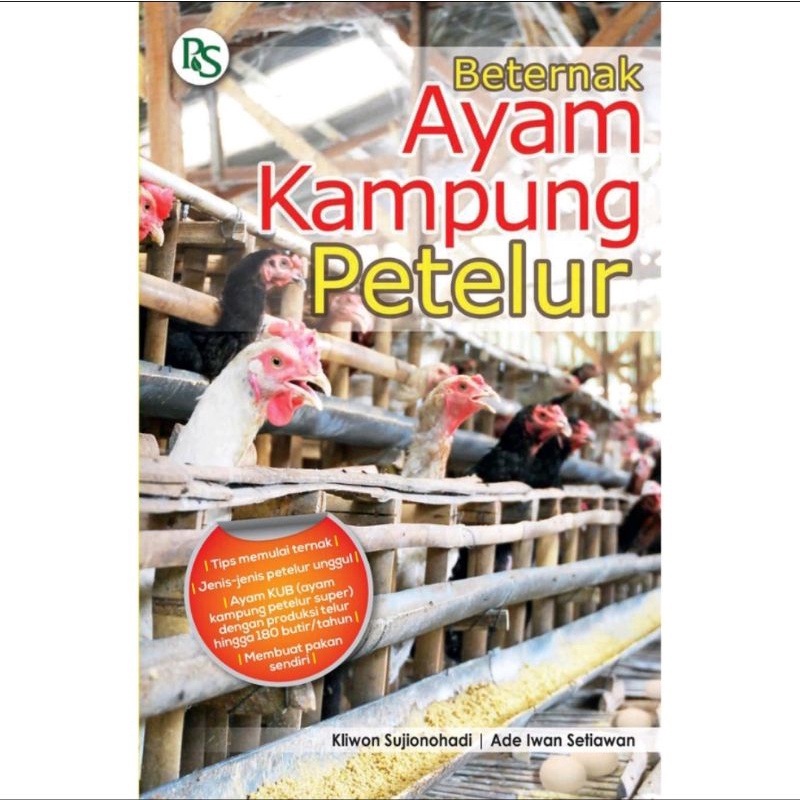 Jual BETERNAK AYAM KAMPUNG PETELUR | Shopee Indonesia