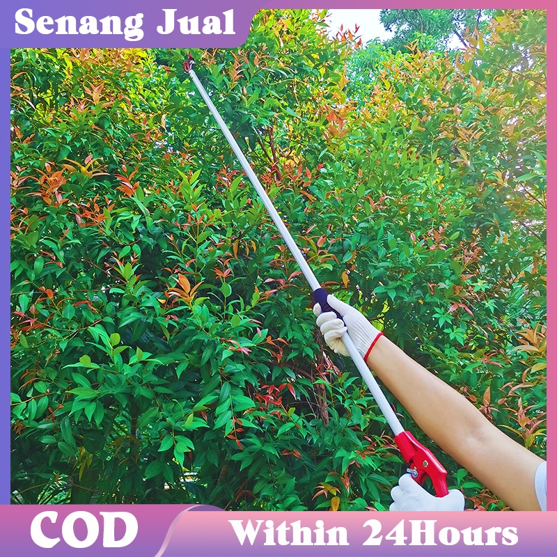 Jual 4M Tree Pruner / Gunting Pemetik Buah Tinggi / Adjustable Telescopic Alat Potong Dahan ...