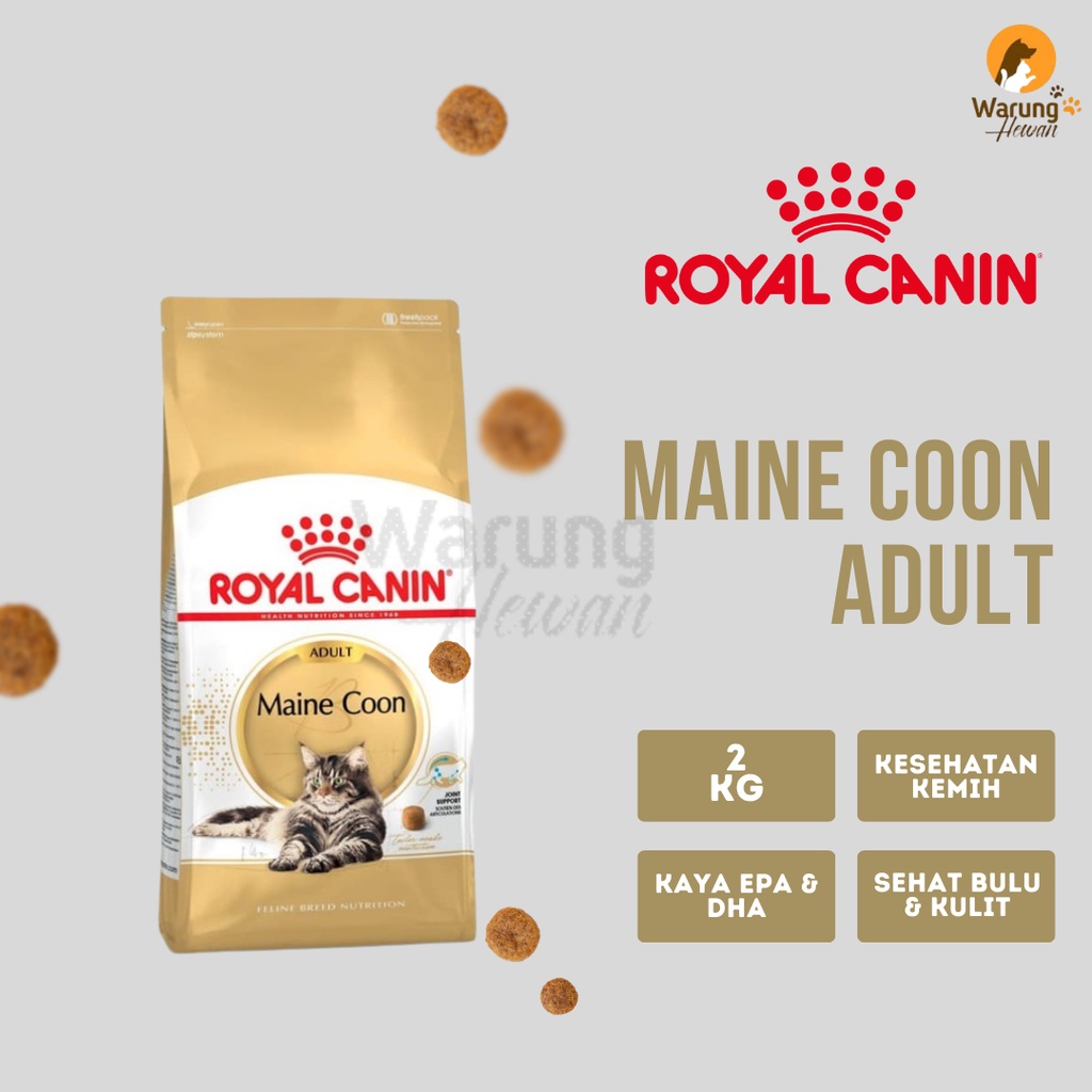 Jual Royal Canin Adult Maine Coon 2 kg | Shopee Indonesia
